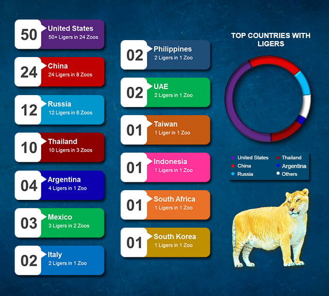 100+ Ligers in the World